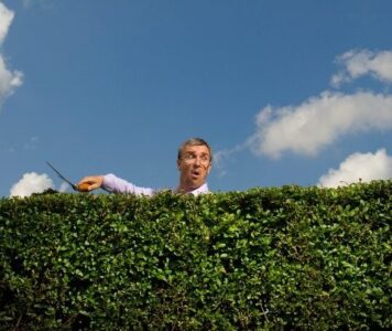 Regret Aversion: Fighting the FOMO of the Financial World - Financial ...